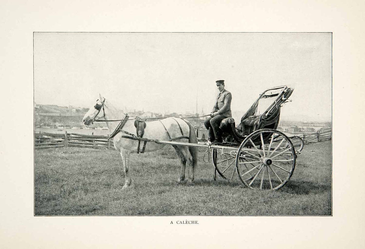 1902 Print Caleche Quebec Canada Horse-drawn Carriage Chaise Calash XG ...