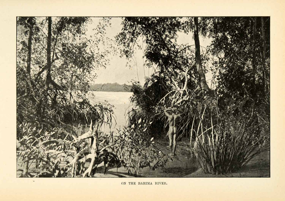 1901 Halftone Print Barima River Nude Orinoco Atlantic Ocean Plants XG ...