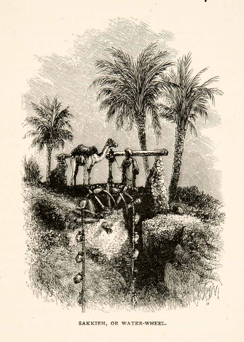 1891 Wood Engraving Sakkieh Water Wheel Egypt Egyptian Nubia Camel Ani ...