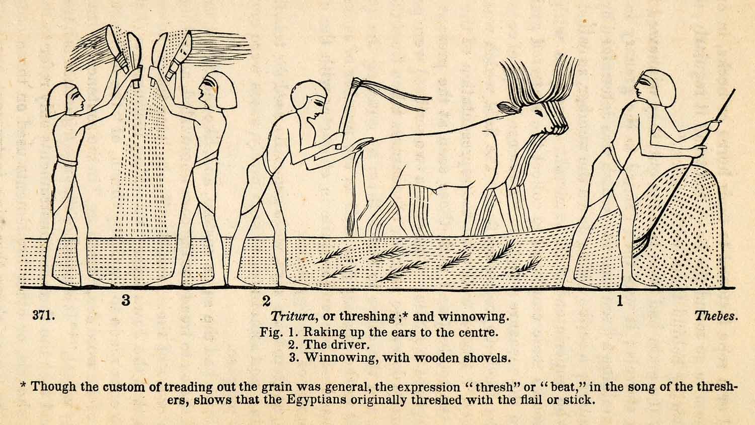 Ancient Egyptian Agriculture Ägyptische Kunst: Grab Von Rekhmire.