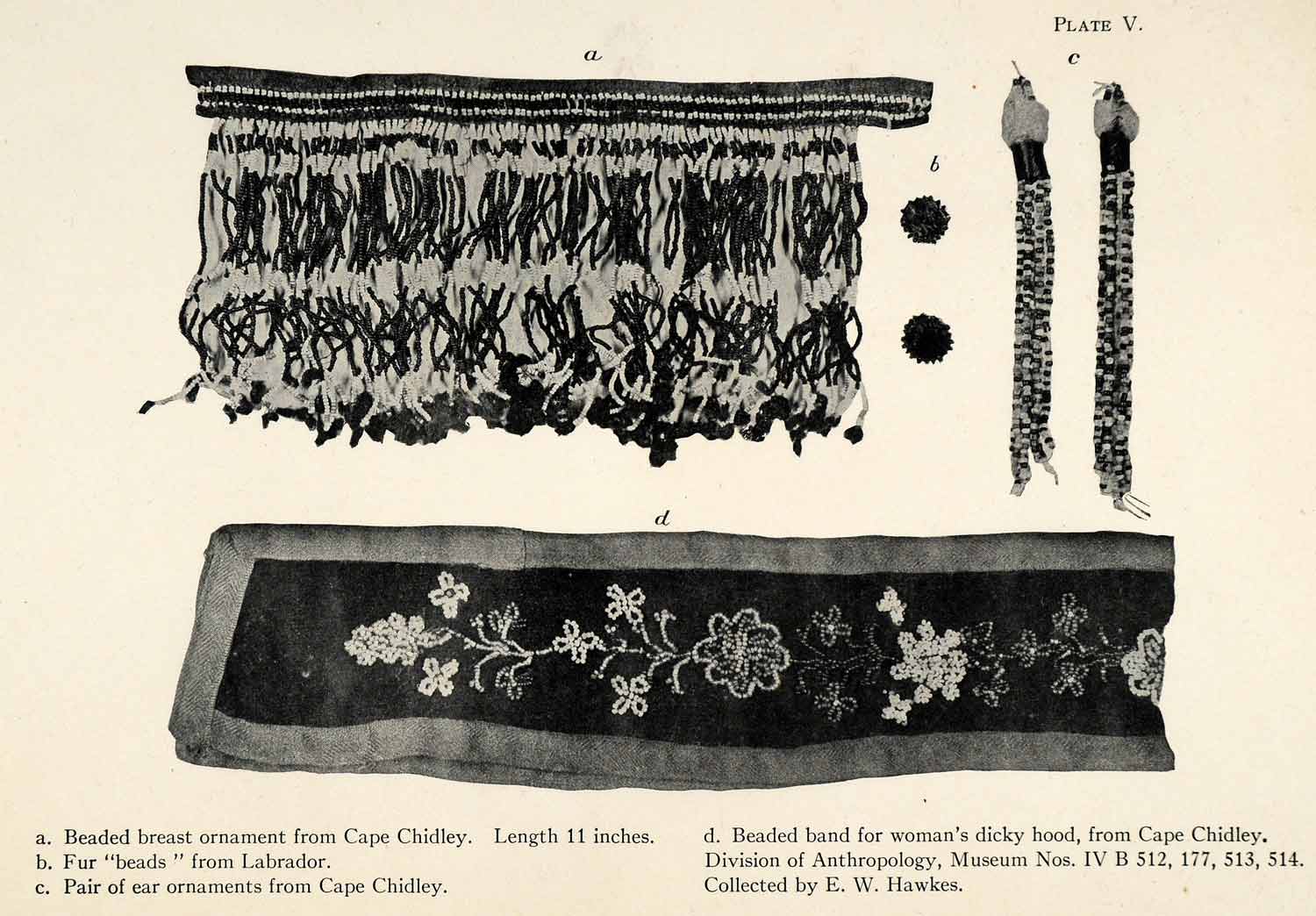 1916 Halftone Print Inuit Beaded Breast Ornament Fur Beads Ear Dicky H ...
