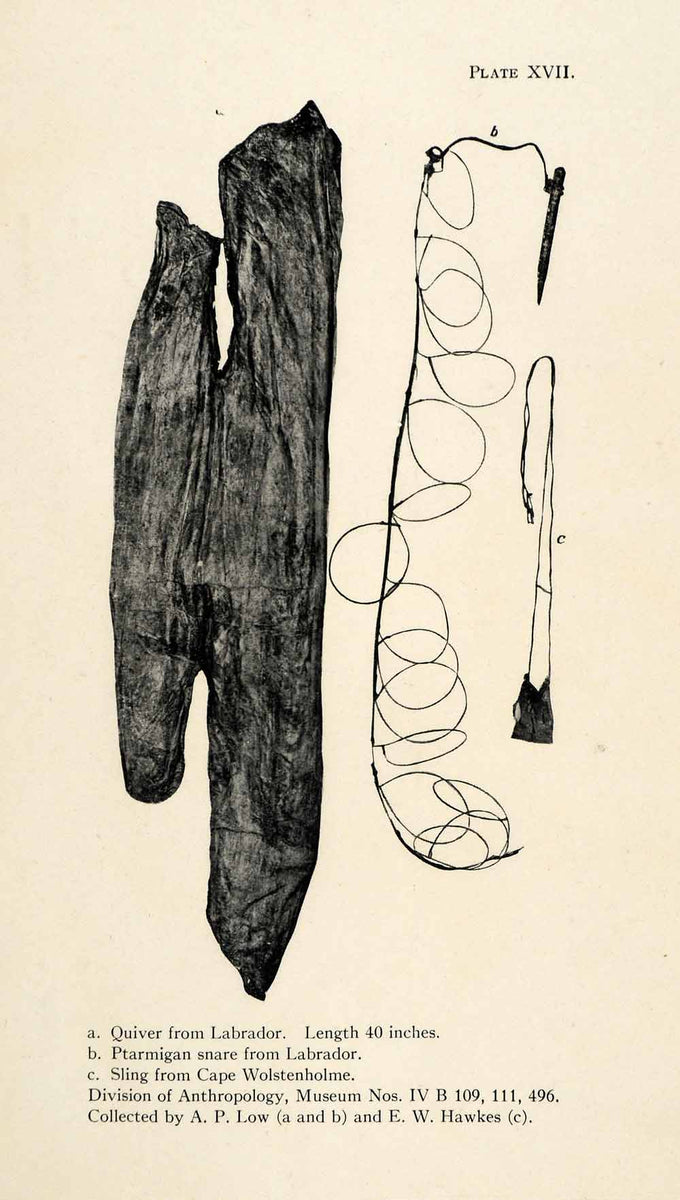 1916 Halftone Print Inuit Quiver Ptarmigan Snare Sling Labrador Huntin ...