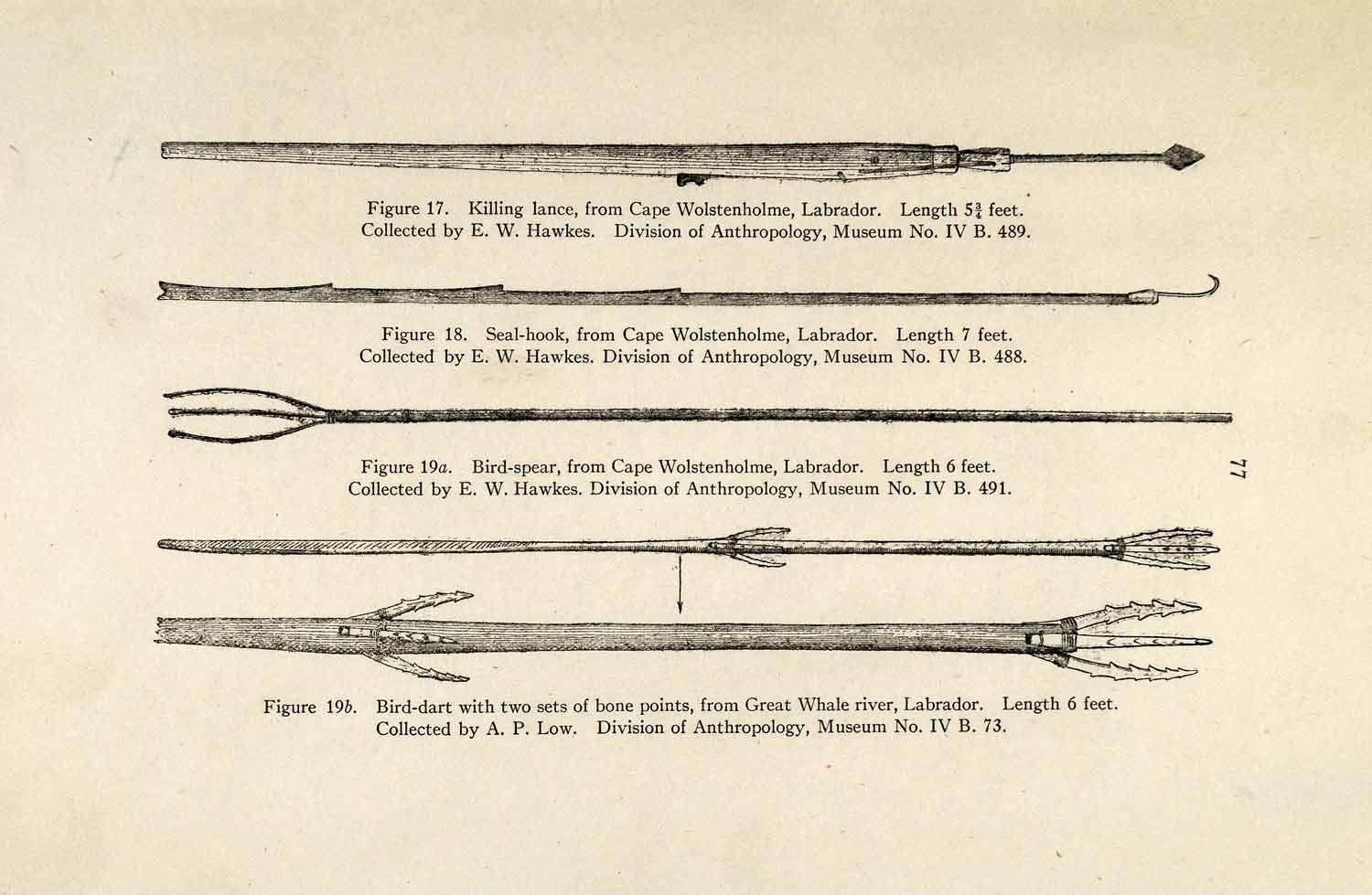 Inuit Spear