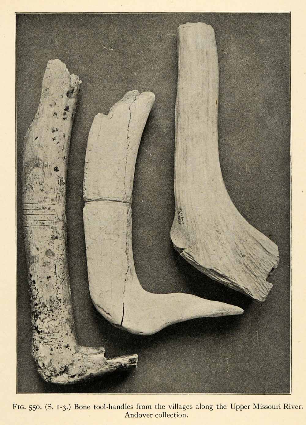 1910 Print Bone Tool Missouri River Andover Instrument Native American ...