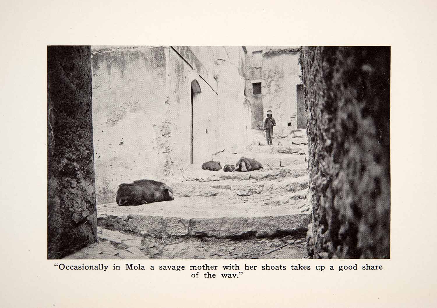 1912 Print Mola Shoats Pigs Deserted Village Sicily Italy Cityscape XG ...