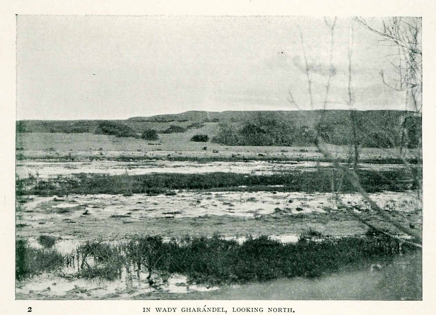 1906 Print Wady Gharandel Oasis Exodus Israelites Egypt Religion Deser ...