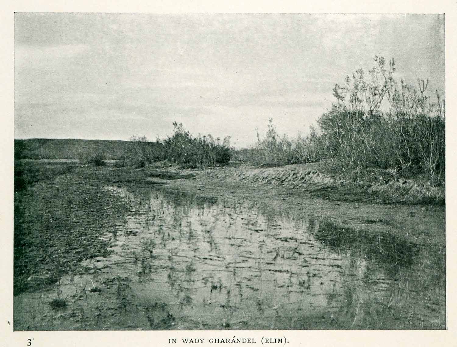 1906 Print Wady Gharandel Oasis Exodus Israelites Egypt Religion Deser ...