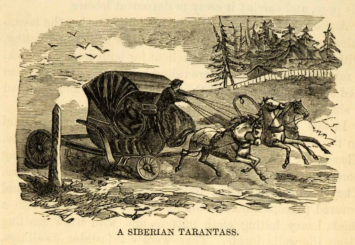 1882 Steel Engraving Siberian Tarantass Horse-Drawn Carriage Russia Ar ...