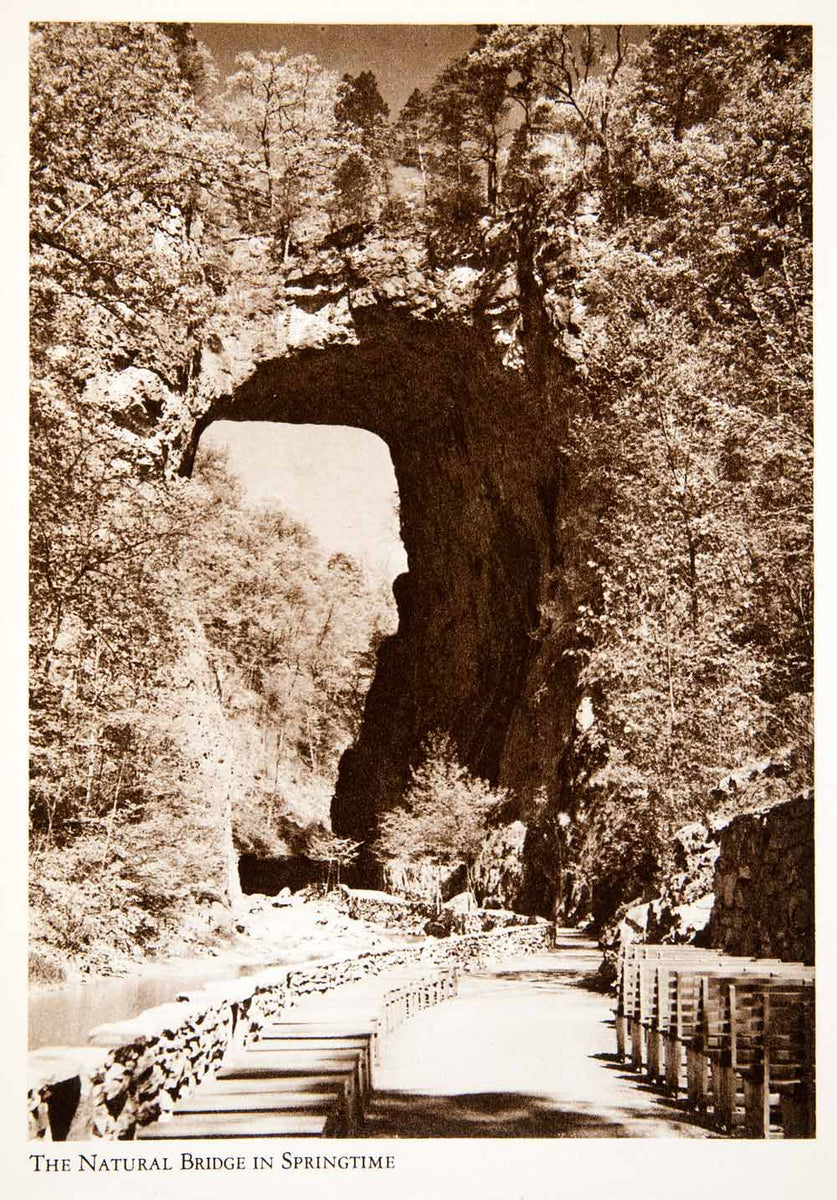 1947 Photogravure Natural Bridge Blue Ridge Mountains Virginia Geology ...