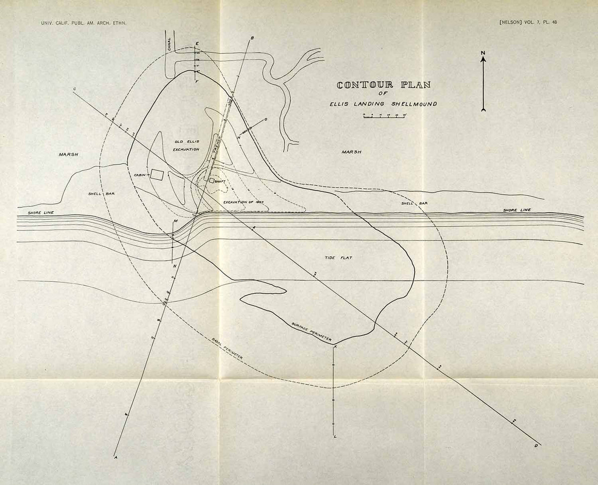 1910 Print Ellis Landing Shellmound Contour Plan Map Excavation Archae ...