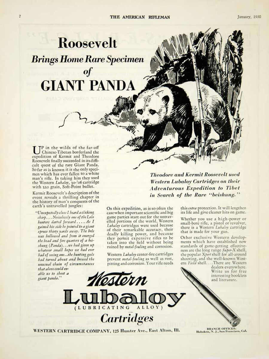 1930 Ad Western Cartridge Theodore Roosevelt Giant Panda Hunting Extin ...