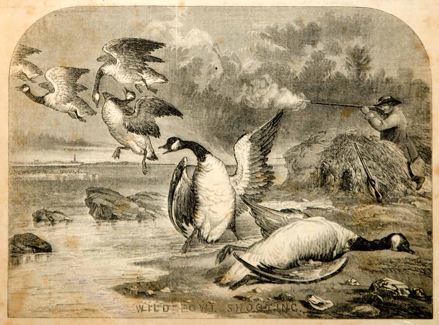 Goose Hunting Drawings