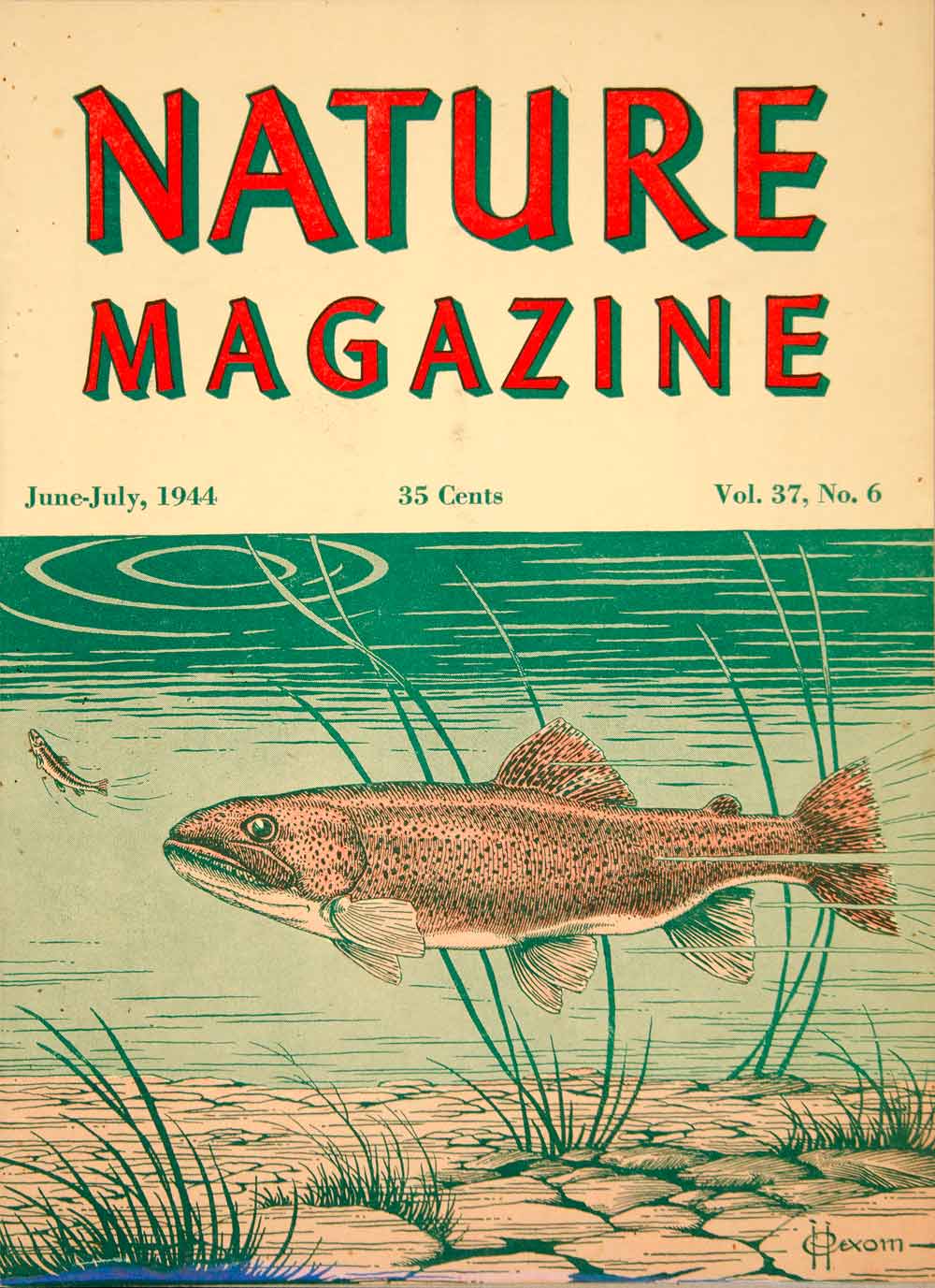 Nature Magazine Cover