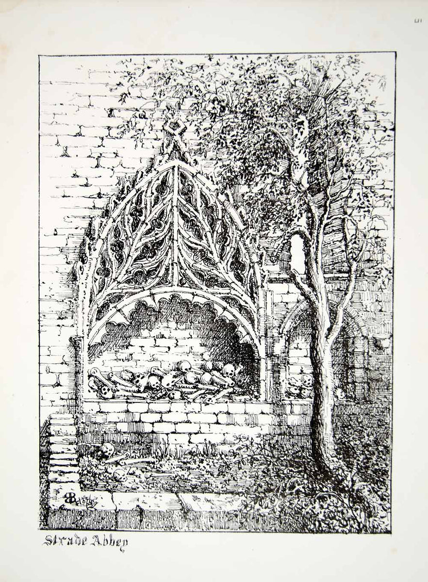 1876 Lithograph Elizabeth Barstow Art Straide Abbey County Mayo Irelan ...
