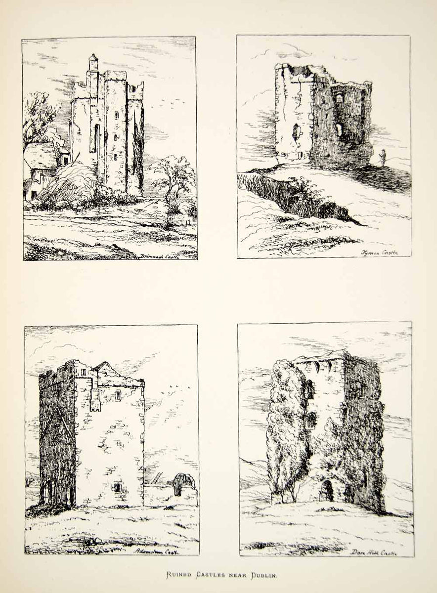1889 Lithograph Simpson Art Drimnagh Tymon Adamstown Castle Dublin Ire ...