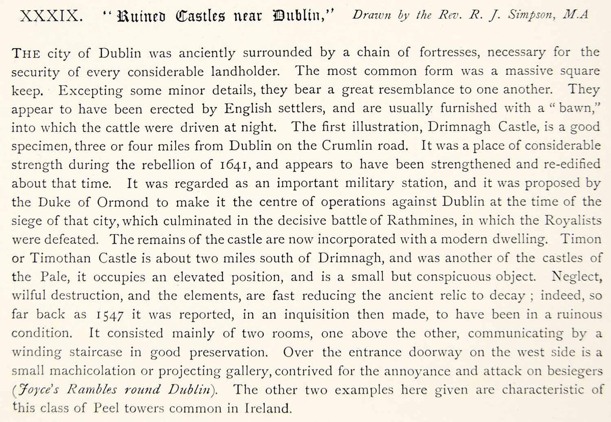1889 Lithograph Simpson Art Drimnagh Tymon Adamstown Castle Dublin Ire ...